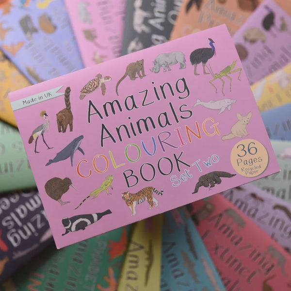 Amazing Animals Set Two Colouring Book – Doodlebug